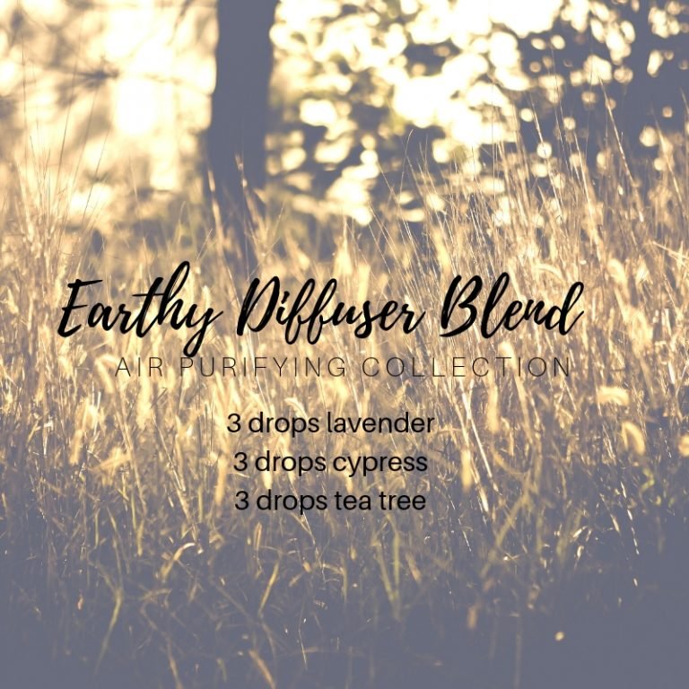 Essential Oil Blend Recipes For a Healthy House - Healthy House on the ...
