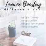 Essential Oil Blend Recipes For a Healthy House - Healthy House on the ...
