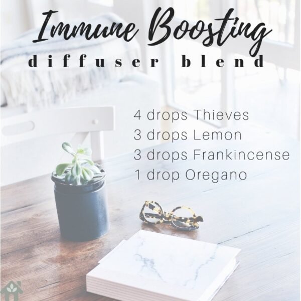 Essential Oil Blend Recipes For a Healthy House - Healthy House on the ...