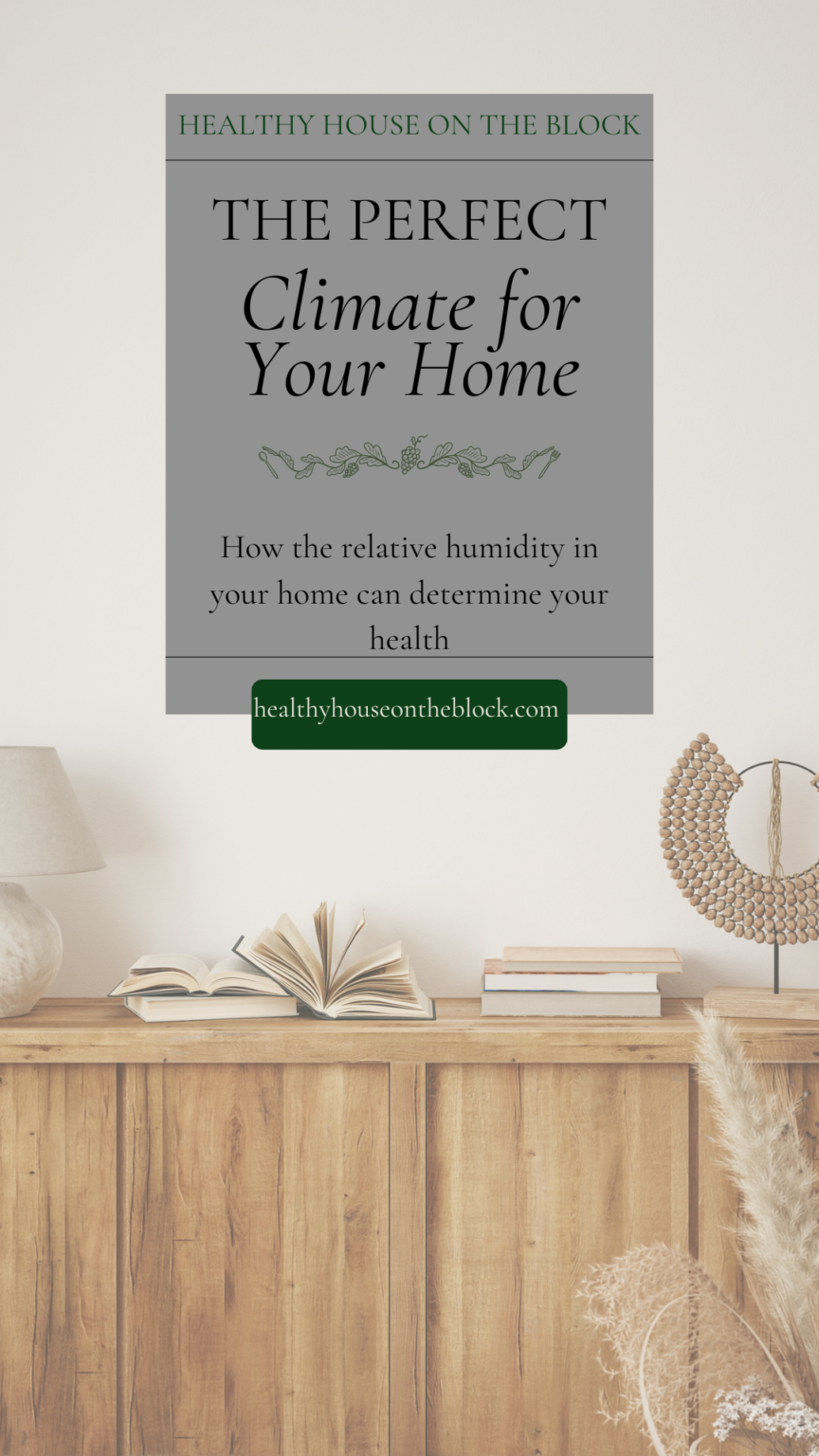 What’s the Best Humidity Level for Home Health and Comfort? - Healthy ...