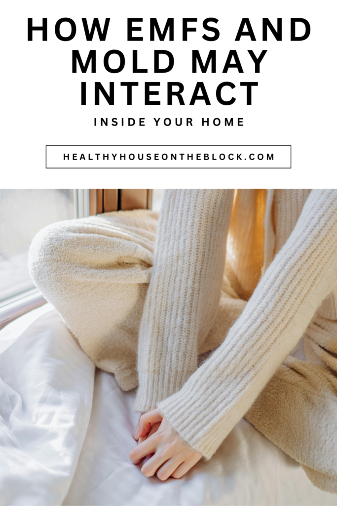 How EMFs and Mold Growth in Homes Are Connected