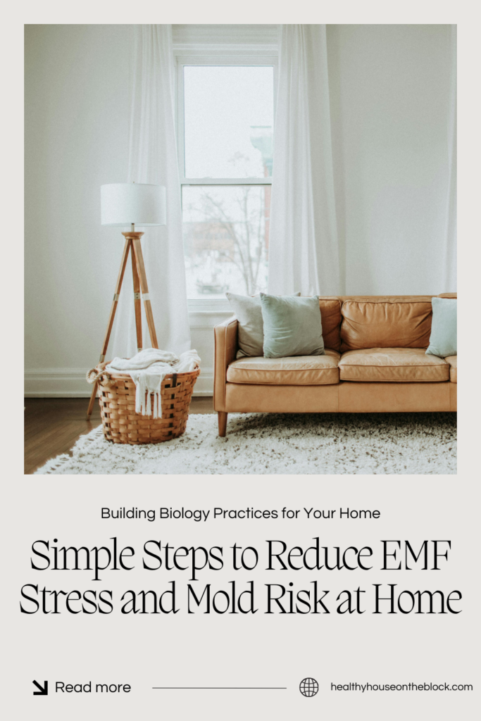 How EMFs and Mold Growth in Homes Are Connected